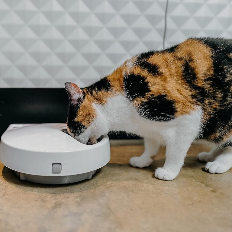 Cat Mate: Automatic Feeder C500, Water Fountain & Microchip Cat Flap